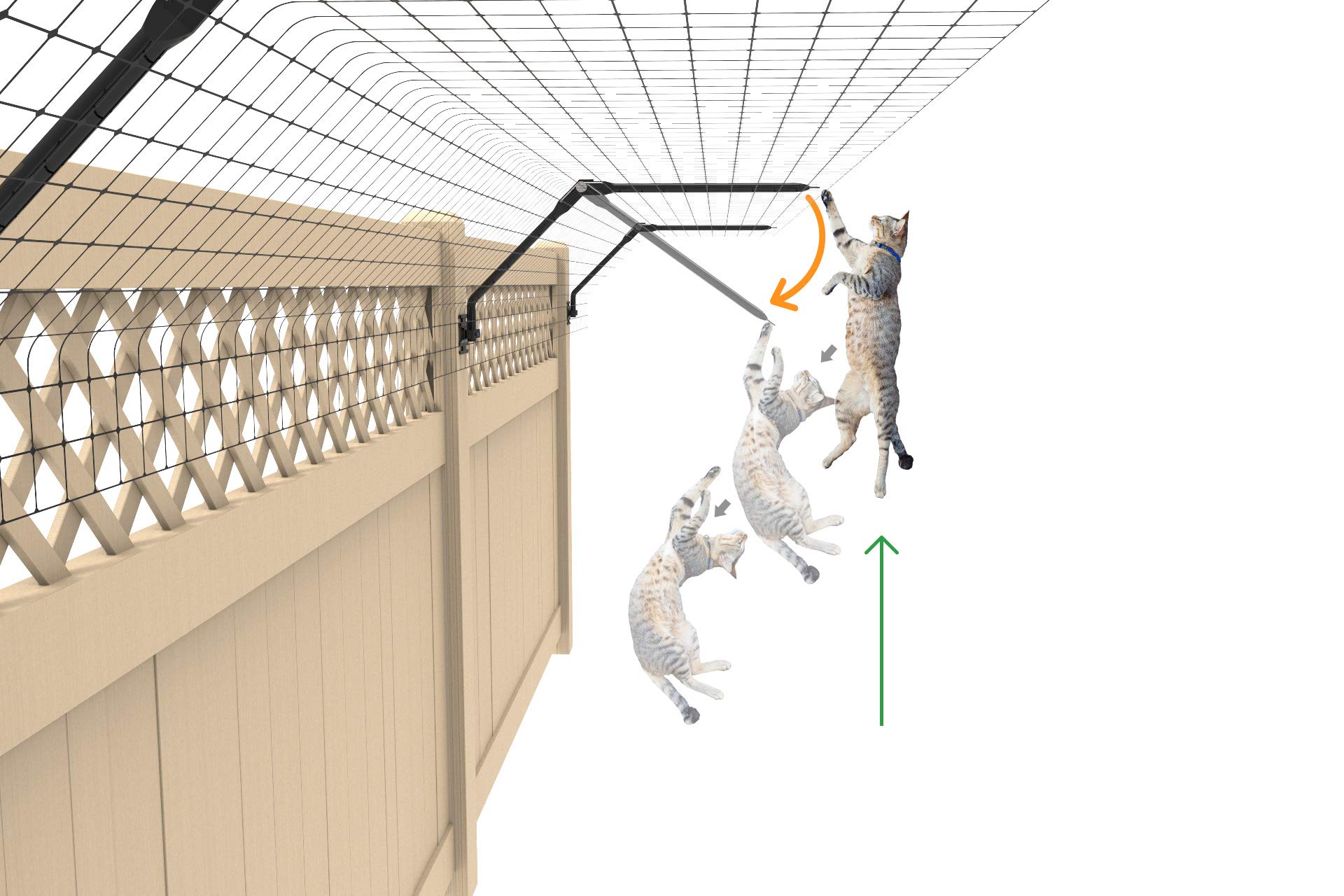 The Ultimate Guide to Cat Proofing a Fence